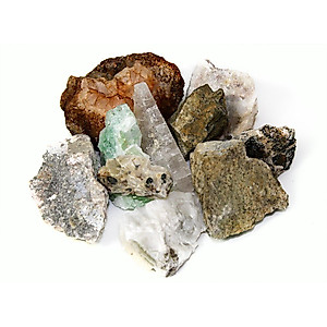 Set of 10 Medium Short Wave UV Reactive Fluorescent Mineral Rock Specimens