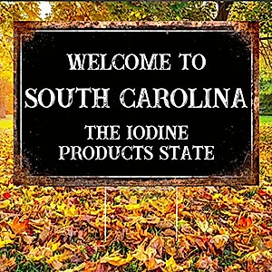Augwed Welcome to South Carolina The Iodine Products State Yard Signs South Carolina State Yard Sign with Stake 12x18in Weatherproof Yard Signs Garden Party Supplies Lawn Outdoor Decor