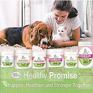 Four Paws Healthy Promise Advanced Formula Hip & Joint Supplement for Dogs Soft Chews 48 Count
