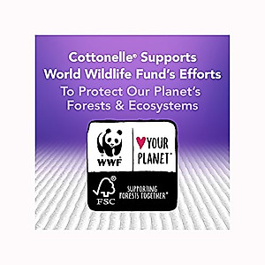 Cottonelle Ultra ComfortCare Toilet Paper, Bath Tissue, 12 Double Toilet Paper Rolls