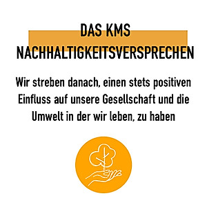 KMS THERMASHAPE Quick Blow Dry Spray for Full, Natural Blow Outs 6.7 oz