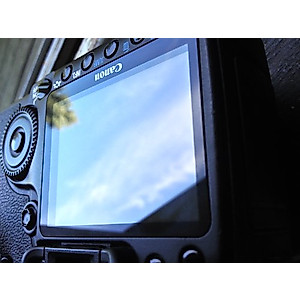 Canon EOS 40D 10.1MP Digital SLR Camera (Body Only)