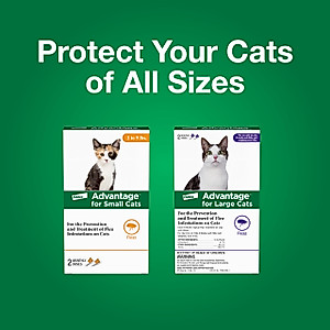 Advantage Topical Cat Flea Treatment and Prevention for Small Cats 2-9 lbs. | Apply Flea Drops Monthly | 2 Treatments
