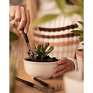 UaiEm Bonsai Tools Set | 13-piece DIY Bonsai Tree Kit with Mini Pruning Shears Concave Cutter, Bonsai Scissors, Bonsai Training Wire, Storage Bag | Carbon Steel Garden Trimming Tools | Bonsai Tool Kit