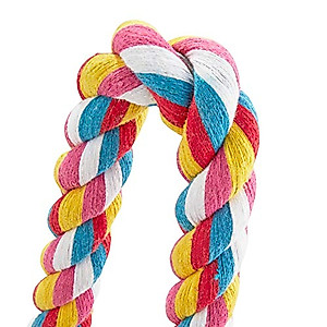 Petco Brand - You & Me Multi-Color Zigzag Rope Bird Perch, Large