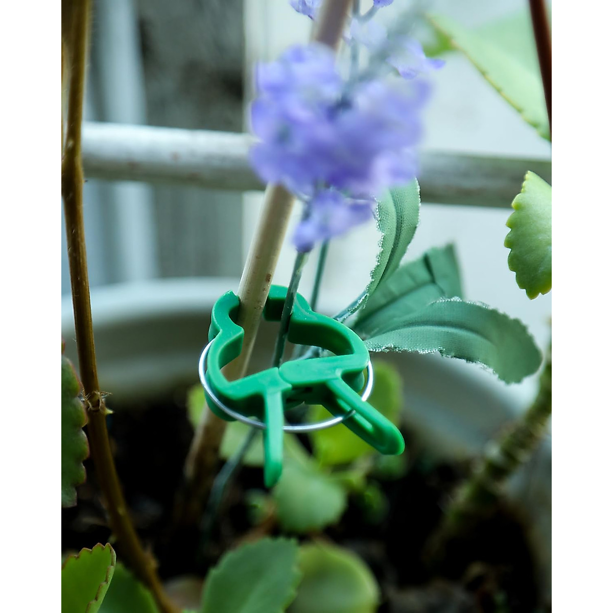 Plant Clips 80 Piece-Garden Clip Plant 2 Sizes Reusable Tomato Clip, Multipurpose Plant Vine Clips for Roses, Sturdy Cucumbers Orchid Clips Plant Support Adjustable Clips Green(30 Large + 50 Small)