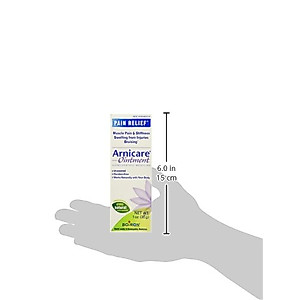 Boiron Arnica Ointment, 1 oz