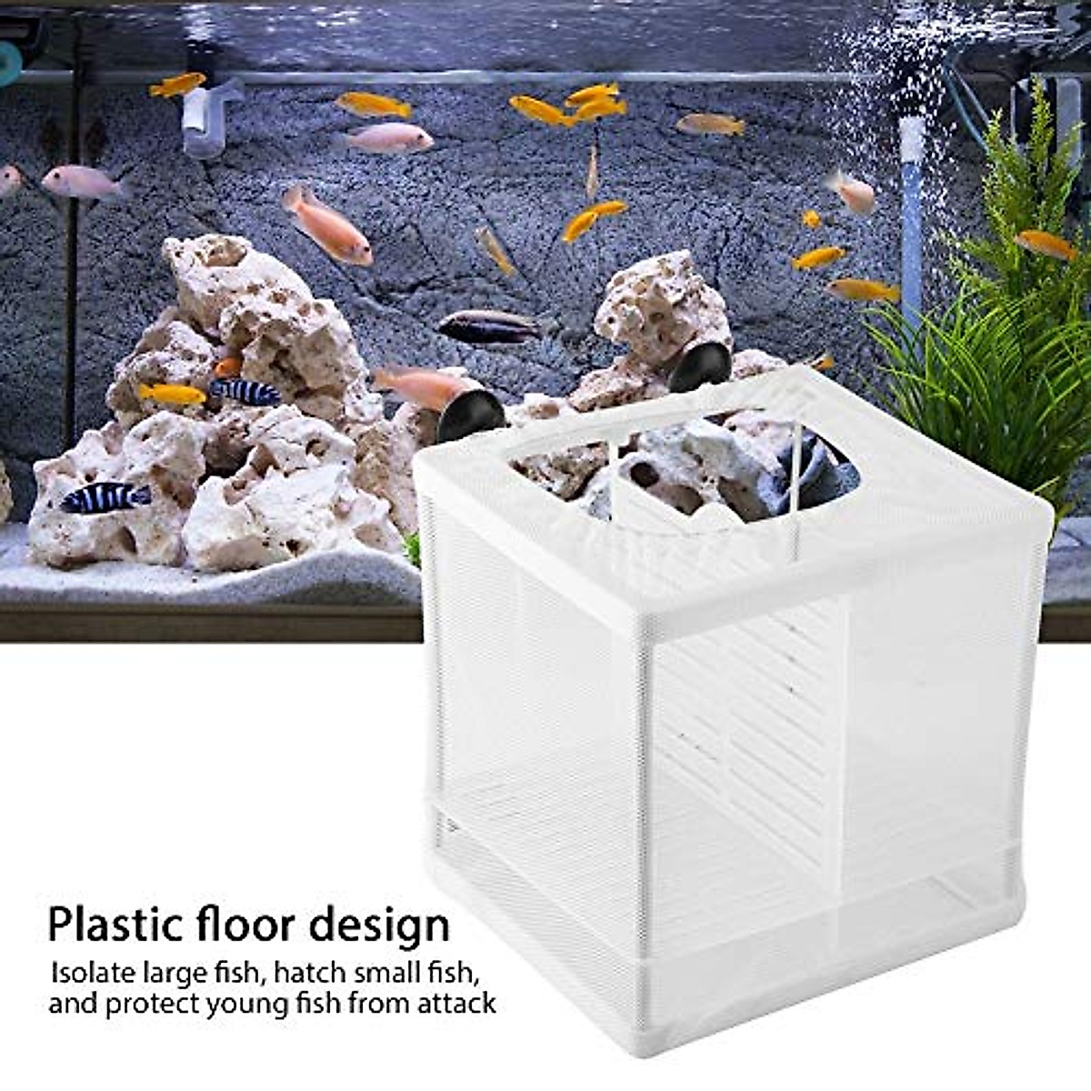 Multi-Function Fish breeding Incubator, Insulation mesh Box, for Aquarium Baby Fish breeding Fish
