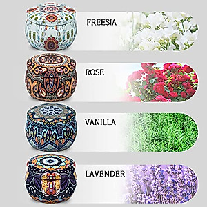 redfruit Scented Candles Gift Set for Womem: 4 Pack Package - Aromatherapy Candle Sets,Natural Soy Wax Candle Can Help Stress Relief&Body Relaxation,Very Suitable for Festival,Bath,Yoga.