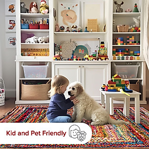 nuLOOM Tammara Bohemian Hand Braided Area Rug, 9x12, Multi