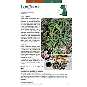Wild Edible Plants of Arizona