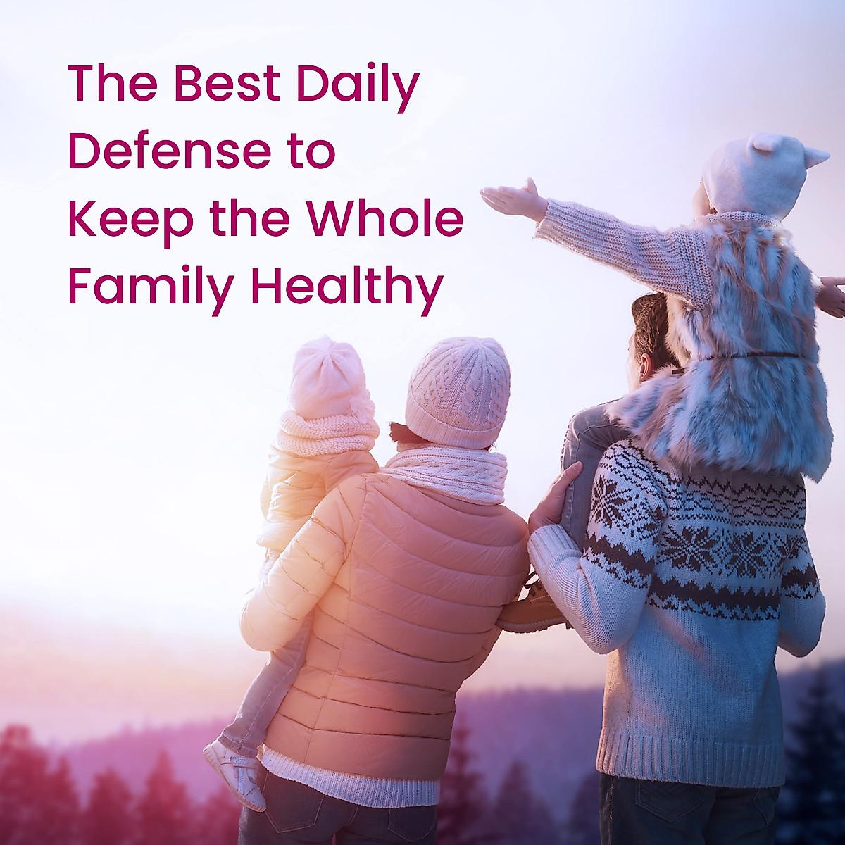 WellPath Boost Elderberry Gummies with Zinc & Vitamin C | Immune Support Supplement for Adults | Immunity Booster Vitamins | Sambucol Black Gummy | Non-GMO & Vegan, 60 Ct