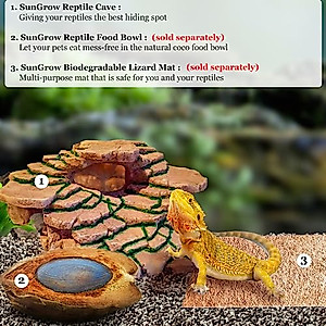 SunGrow Reptile Resin Cave, 3.5 x 7 Inches, Hiding Spot for Reptiles, Amphibians, Exercise Platform, Realistic Decor for Terrarium, Vivarium, Aquarium
