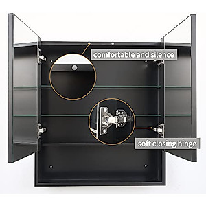 HESONTH Farmhouse Black Metal Framed Surface Mounted Bathroom Medicine Cabinet with Mirror Rectangle Vanity Mirros Cabinet for Wall 22x24 inch