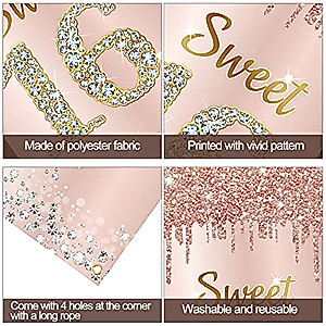 Sweet 16 Birthday Door Banner Backdrop Decorations for Girls, Pink Rose Gold Happy 16th Birthday Party Door Cover Sign Supplies, Sixteen Year Old Birthday Poster Photo Booth Props Decor