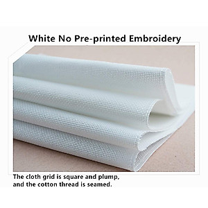 CaptainCrafts Cross Stitch Kits, New Stamped and Counted Fabric Cross Stitching DIY Art DMC Needlecrafts Embroidery Kit for Adults Beginner (White, Basket of Strawberries)