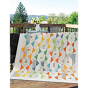 Snuggle Up!: 12 Cozy Nap and Lap Quilts (Moda All-stars)