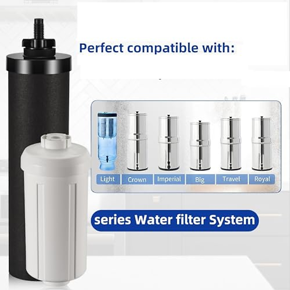 Water Filter Replacement Water Filtration System, Fluoride Filters 2 Pack and Black Filters 2 Pack