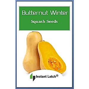 30 Butternut Winter Squash Seeds | Non-GMO | Fresh Garden Seeds