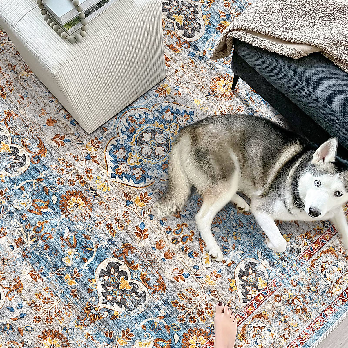 YOUFORTONG Washable 8x10 Area Rugs: Rugs for Living Room Ultra Soft Carpet for Bedroom Waterproof Rug Non Slip Rugs for Hardwood Floors (Blue, 8x10)