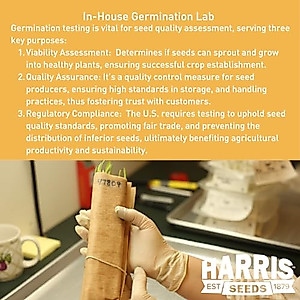 Geranium Seeds - Maverick Star F1 Hybrid Non-GMO Seeds - White and Rose Colored Flowers - 100 Flower Seeds- Drought Tolerant Flower Seeds