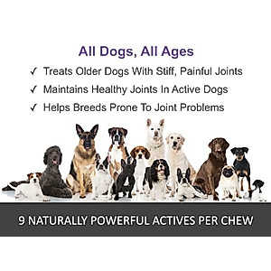 Joint Repair Advanced Hip & Joint Health Supplement for Dogs. Naturally Relieves Arthritis, Pain & Inflammation. Extra Strength Soft Chew Treats with Glucosamine, Chondroitin & MSM Improve Mobility