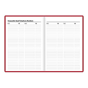 Letts of London Milano Weekly Planner, 12 Months, January to December, 2024, Appointments, A5 Size, 8.25" x 5.875", Red (CTO3XURD-24)