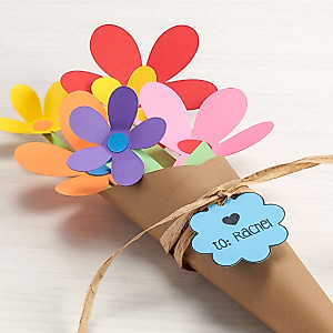 Astrodesigns Crafting Cardstock, 12" x 12", 65 lb/176 gsm, 10-Color Delightful Assortment, 100 Sheets (91039)