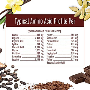 Organic Protein Powder Plant-Based (Creamy Chocolate Fudge) by MaryRuth's Vegan, Gluten Free, Non-GMO, Soy Free, Dairy Free, Nut Free, No Fillers, No Additives, Paleo Friendly 14.8 oz for Men & Women