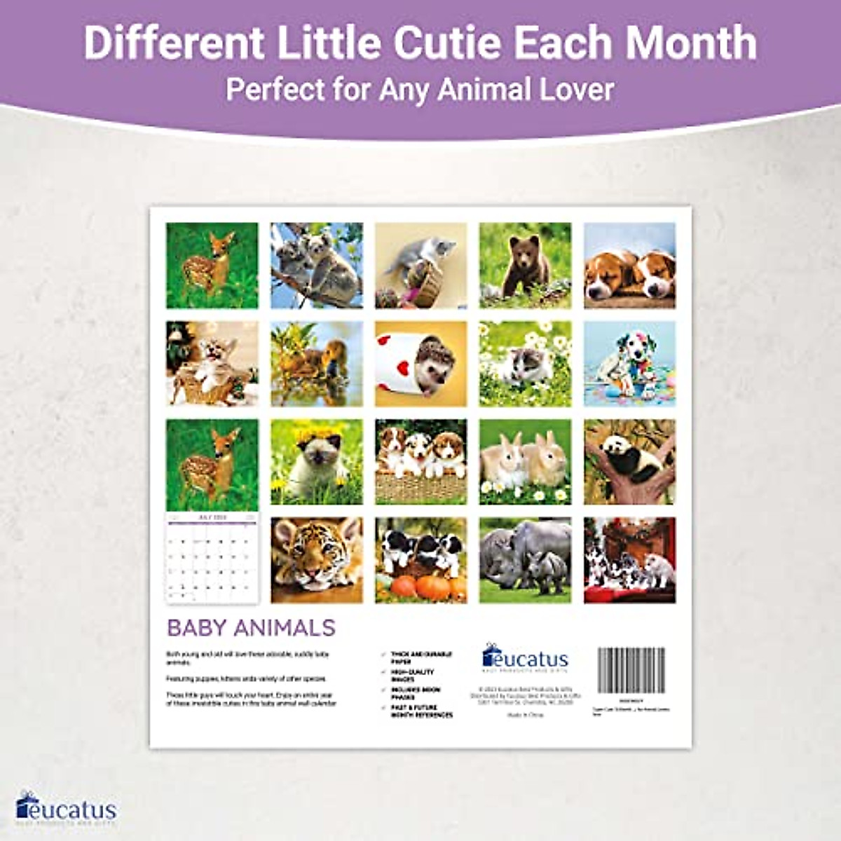 Super Cute 18 Month Baby Animals Wall Calendar 2023-2024. Big 12x12 Inch Novelty Gift With Puppies, Kittens and More. Great for Men, Women or Kids. Perfect Stocking Stuffer or Decor for Animal Lovers.