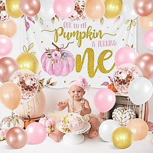 Vansolinne Pink Pumpkin First Birthday Decorations for Girls Our Little Pumpkin is Turning One Backdrop Banner and Balloon Garland Arch Kit 1st Birthday Party Supplies Background Photoshoot Props