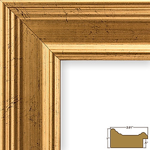 Craig Frames Revival, 20 x 24 Inch Distressed Gold Picture Frame Matted to Display a 16 x 20 Inch Photo