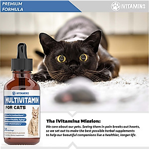 Cat Multivitamin - Supports Immune Health, Skin, Coat, Heart Health & More - Cat Vitamins - Cat Supplements & Vitamins - Cat Vitamins for Indoor Cats - Kitten Vitamins - Cat Immune Support - (1)