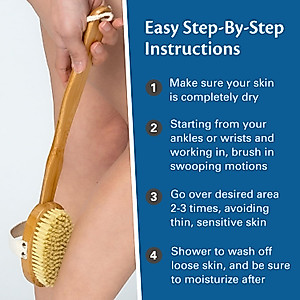 Dry Body Brush | Anti Cellulite Brush | Blood Circulation, Skin Smoothing | Tighten, Tone, Exfoliate & Firm Skin | Use on Scalp, Skin & Muscles