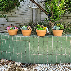 Yishang 6 Inch Terracotta Shallow Planters,Ceramic Flower Clay Plant Pots with Drainage Hole,Unglazed Cactus/succlent Plant Containers Indoor Garden Bonsai Pots