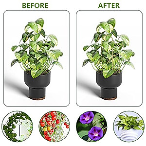 6Pcs Plant Trellis, Gold Trellis for Climbing Plants Indoor, Mini Trellis for Potted Plants Support Stake House Plant Trellis for Garden Potted Plant, Hoya, Pothos, Flower, Monstera