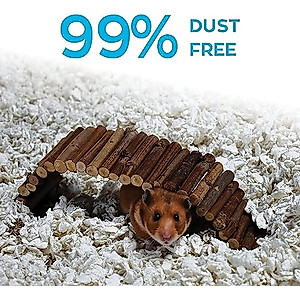 carefresh 99% Dust-Free White Natural Paper Small Pet Bedding with Odor Control, 10L, White