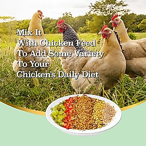 WORMSKING 5LB Dried Black Soldier Fly Larvae, High Calcium for Chickens