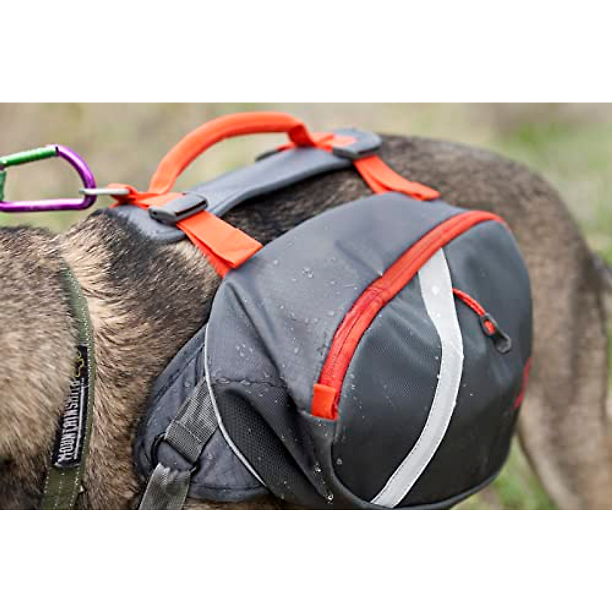 Mountainsmith K9 Dog Pack, Adjustable Chest and Back Harness Canine Backpack, Saddle Bags with Zippered Pockets for Camping, Travel, Outdoors, Backpacking, Hiking