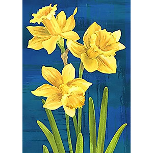 Toland Home Garden 1112545 Daffodils On Blue Spring Flag 12x18 Inch Double Sided Spring Garden Flag for Outdoor House Flower Flag Yard Decoration