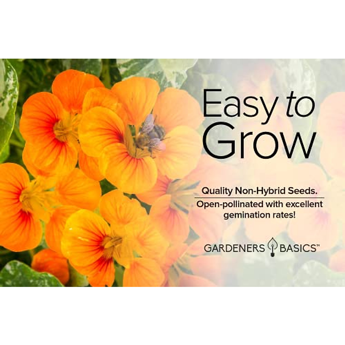 Nasturtium Flower Seeds for Planting (Dwarf Jewel) - Edible Flower Open Pollinated, Non-GMO Annual Flower Seed for Flower Gardens by Gardeners Basics