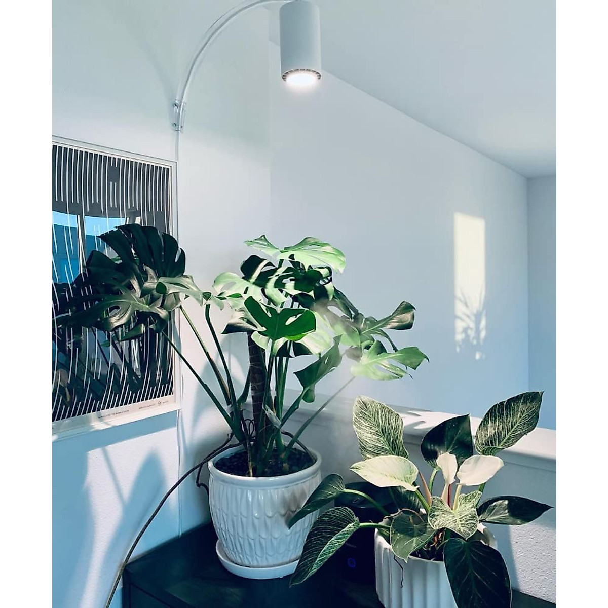 Aspect Large White Luxury LED Grow Light – for Medium and Large Plants