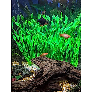 BEGONDIS 14 Pcs Artificial Green Seaweed Water Plants, Fish Tank Aquarium Decorations, Made of Soft Plastic
