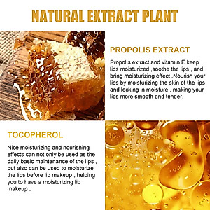 2 Pcs Lip Balm Honey Pot,Honey Propolis Lip Mask Hydrating & Prevention Dry and Cracked Lip Scrubs Exfoliator