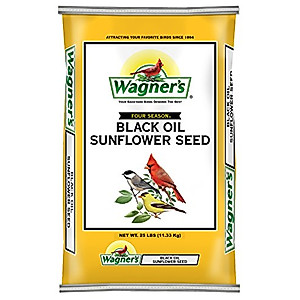 Squirrel Buster Mini Squirrel-Proof Bird Feeder w/4 Metal Perches, 0.98-Pound Seed Capacity & Wagner's 76027 Black Oil Sunflower Wild Bird Food, 25-Pound Bag