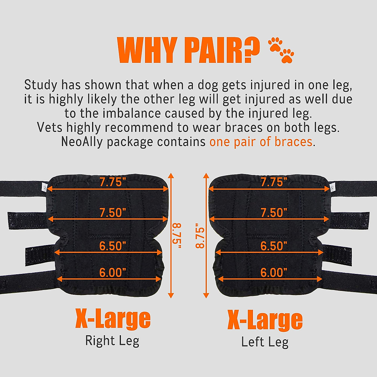 NeoAlly X-Large (1 Pair) Dog Rear Leg Brace with Metal Spring Strips, Harness for Hock & Ankle Support, Large Breeds, Breathable, Adjustable