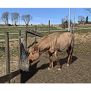 Ferstnor Premium Hay Net Slow Feeder for Horses 40 inches Long 2 inches Mesh Hole Heavy Duty Hanging Haylage Bag for Horses Complete with Steel Snap Hook