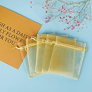 HRX Package 100pcs Little Gold Organza Bags 3 x 4 inch, Mesh Jewelry Pouches Drawstring Empty Sachets for Bracelets Candy Small Gift