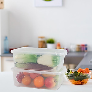 Aninhao 14 Quart Clear Storage Bins 4 Packs, Plastic Latching Storage Container Box with Lid