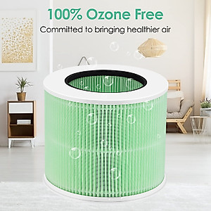 Vortex V1 Air Purifier True HEPA Filter